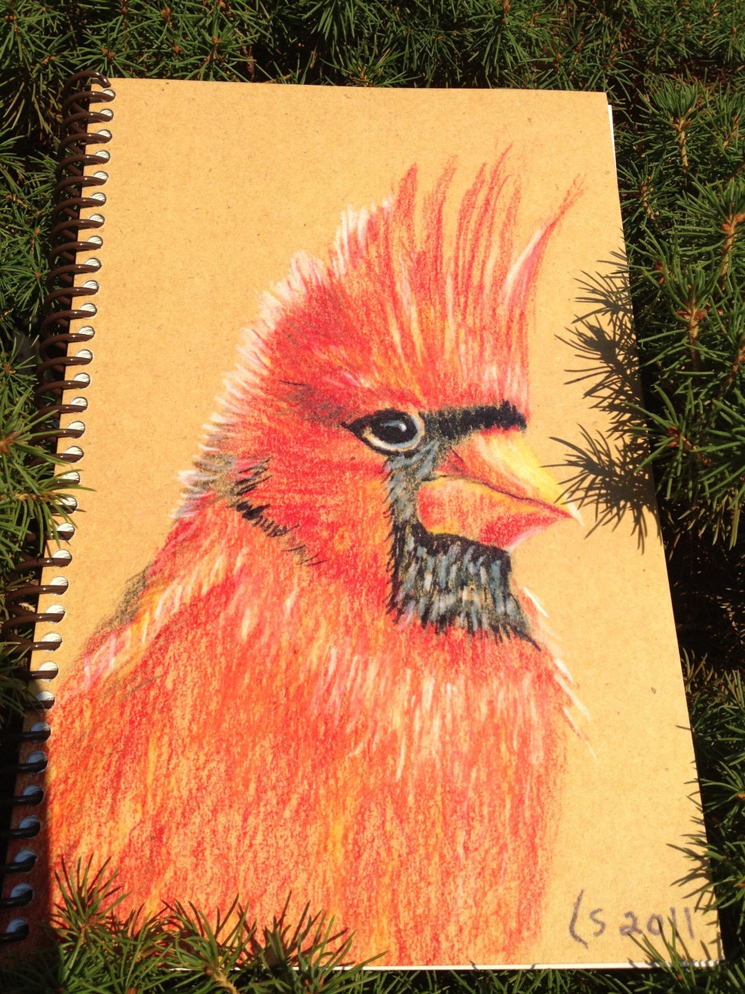 Spiral Bound Eco-friendly Cardinal Journal - Etsy