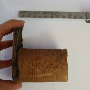 Oakland Concrete Texture Clay Cactus Mini-pot - Etsy
