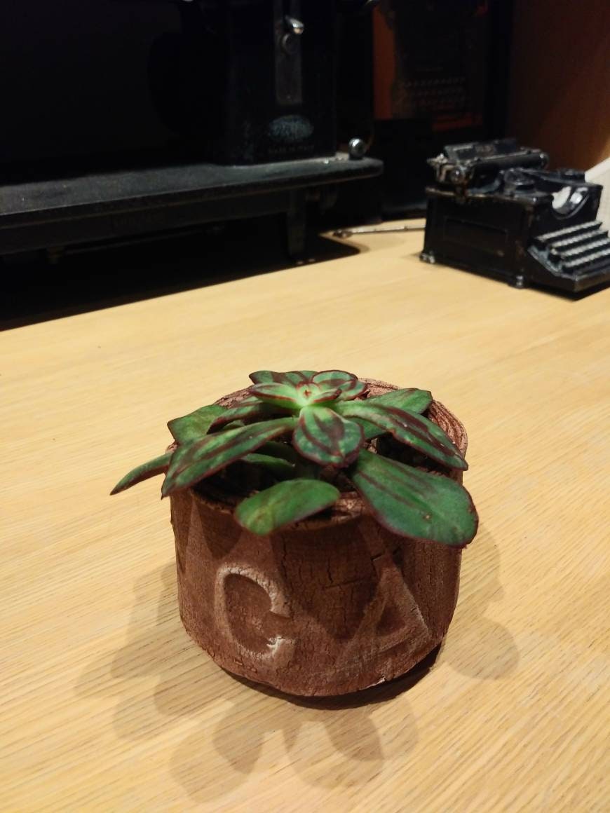 Cali Pot Unglazed Clay Crackle Pot Succulent Planter - Etsy