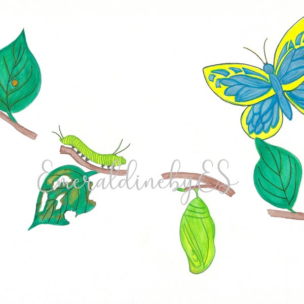 Butterfly Cocoon Art - Etsy