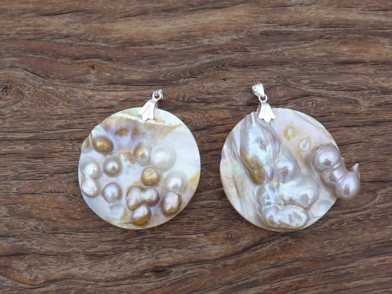 Pearl and Shell Round Pendant Shell Jewelry Natural Free | Etsy