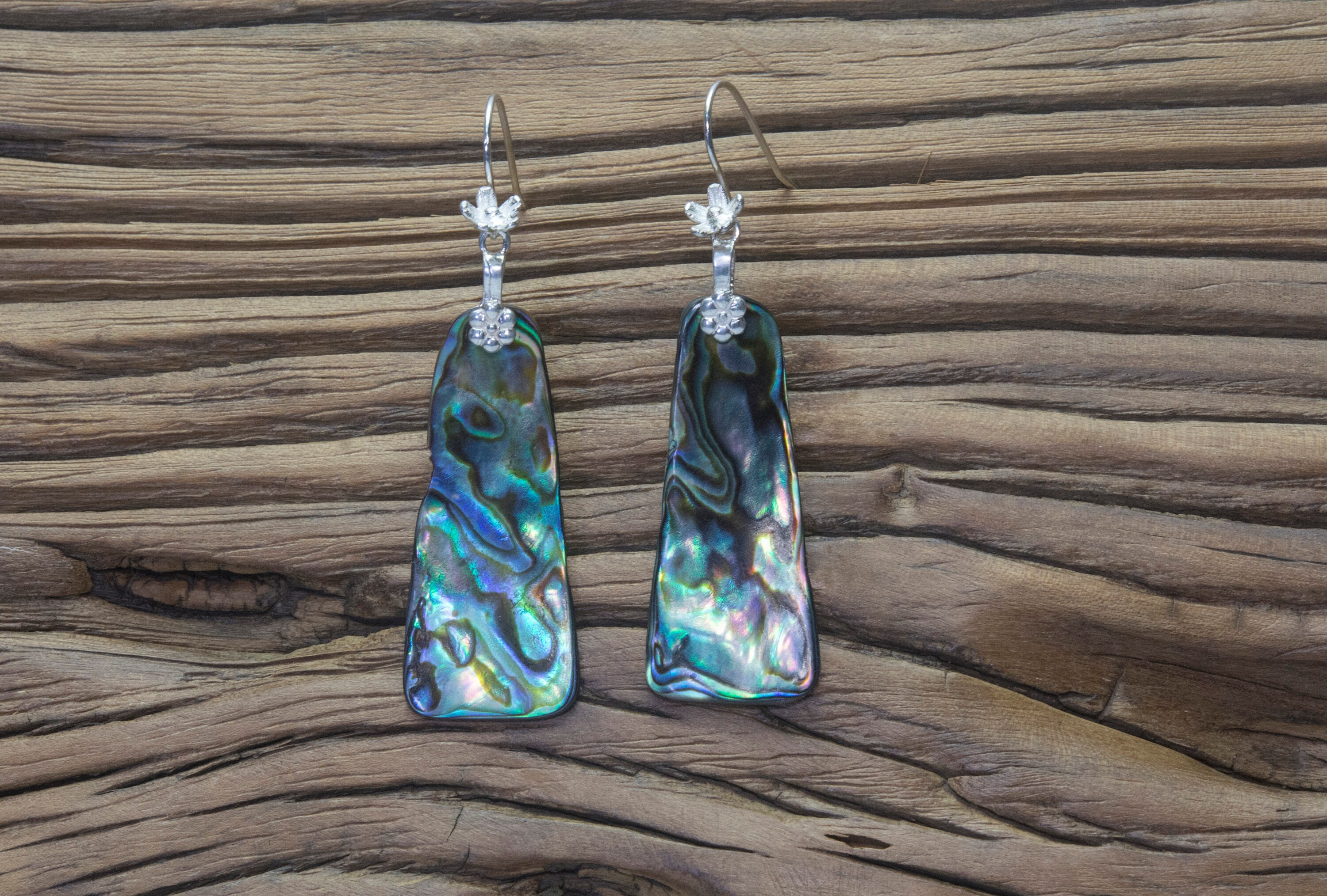 Abalone Shell Earrings shell Earrings Abalone Shell - Etsy