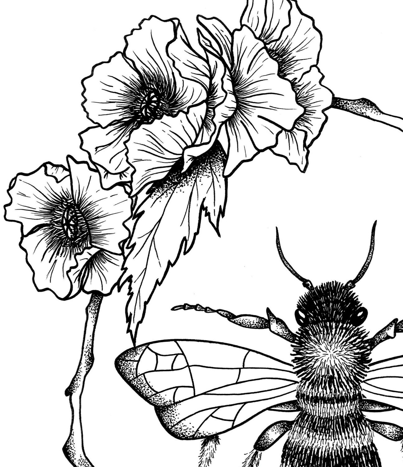 Bee in Floral Frame Art Print - Etsy