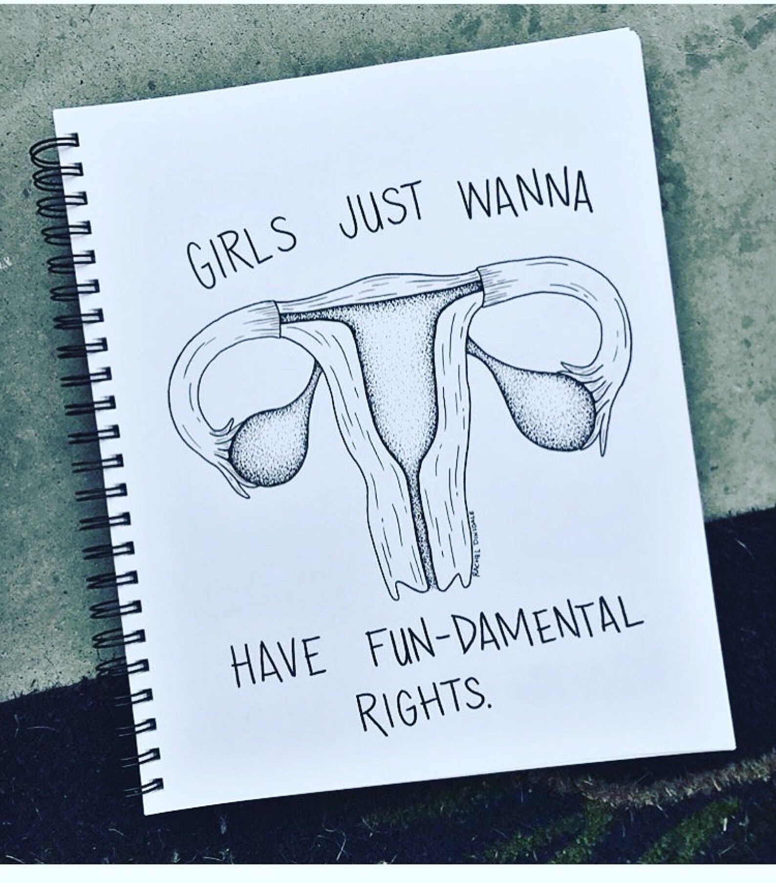 Fundamental Rights Art Print | Etsy