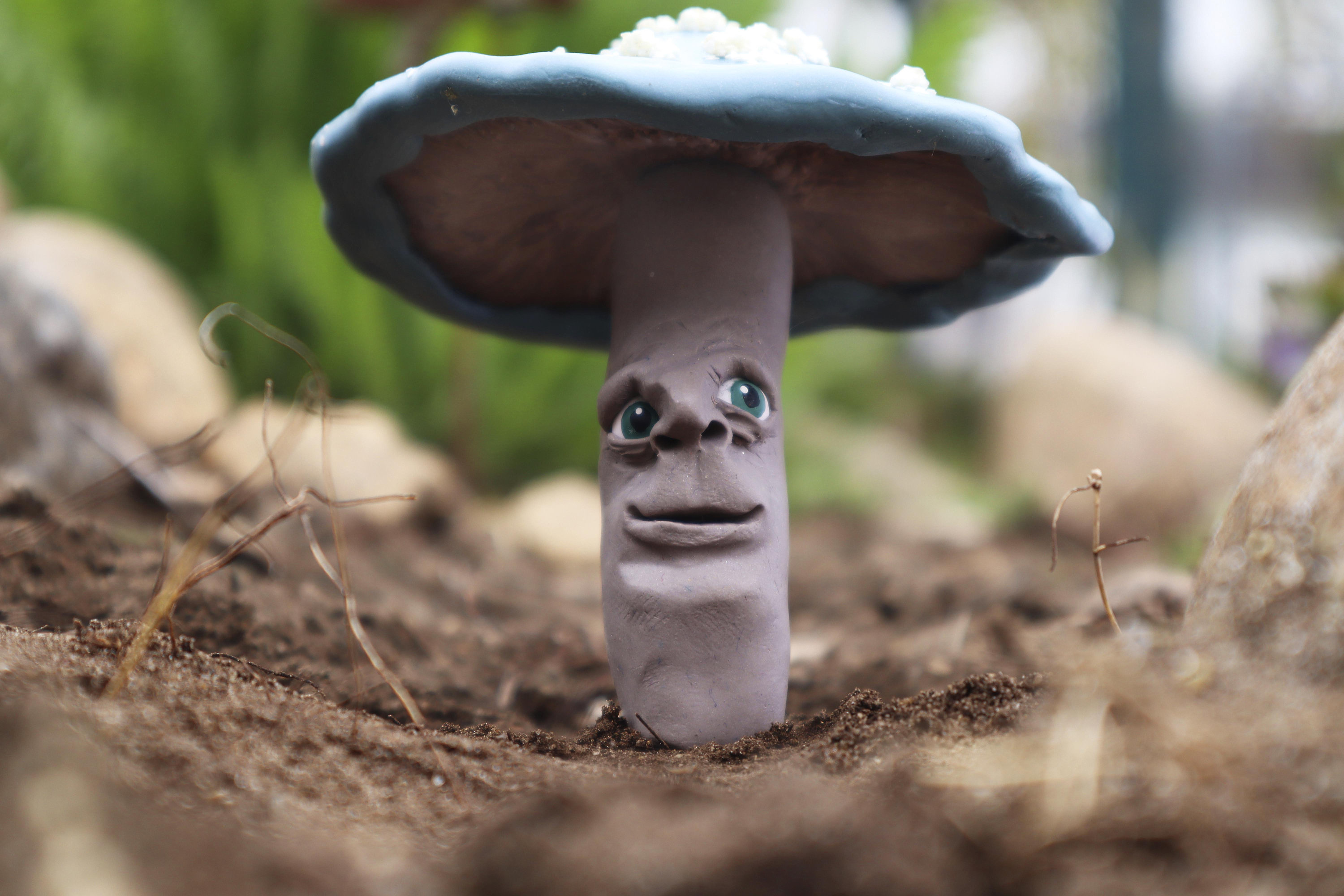 Sculpt a Polymer Clay Face in Two Minutes Create Fun Faces on - Etsy