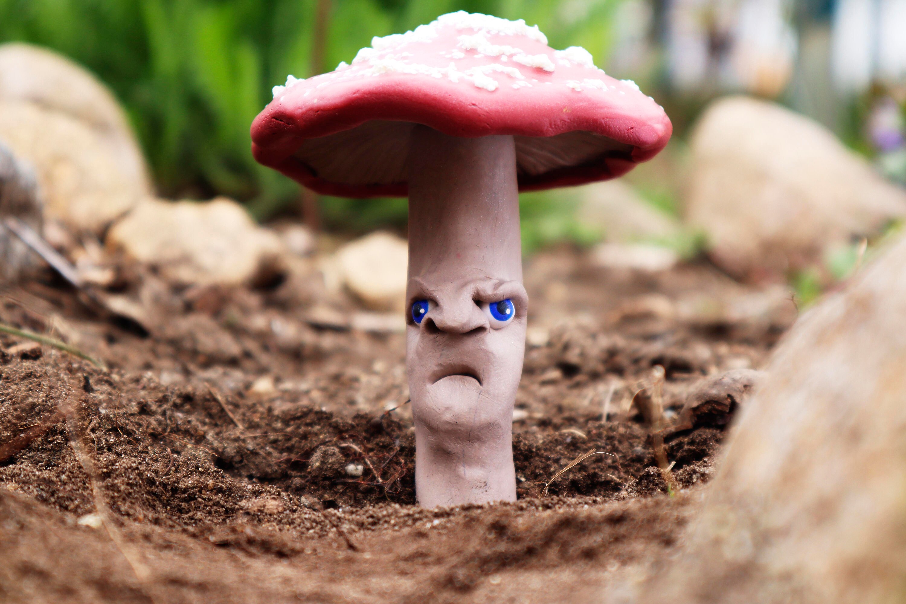 Sculpt a Polymer Clay Face in Two Minutes Create Fun Faces on - Etsy