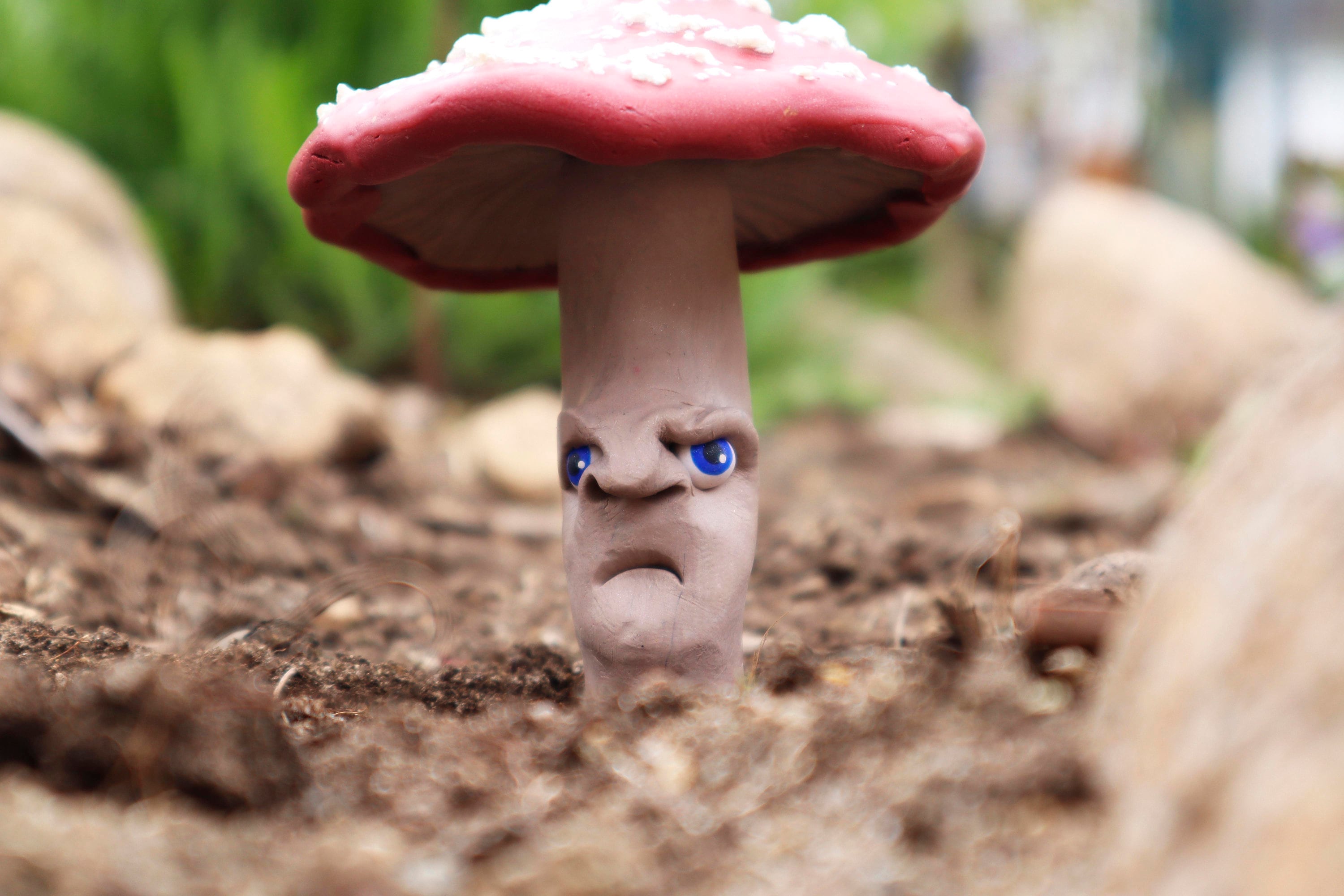 Sculpt a Polymer Clay Face in Two Minutes Create Fun Faces on - Etsy