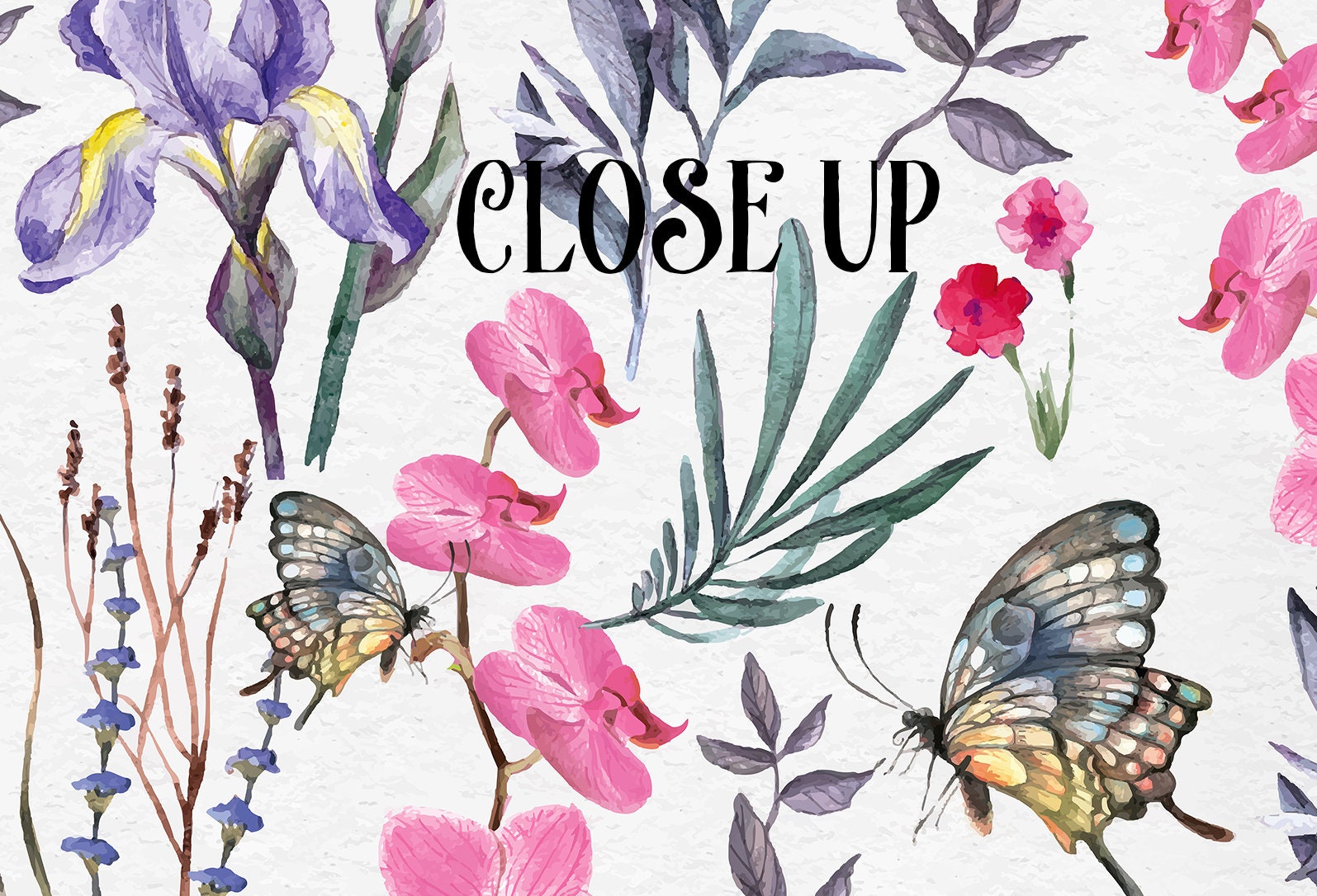 Pink, Purple, Floral Wallpaper Watercolor, Flowers, Butterflies, Peel ...