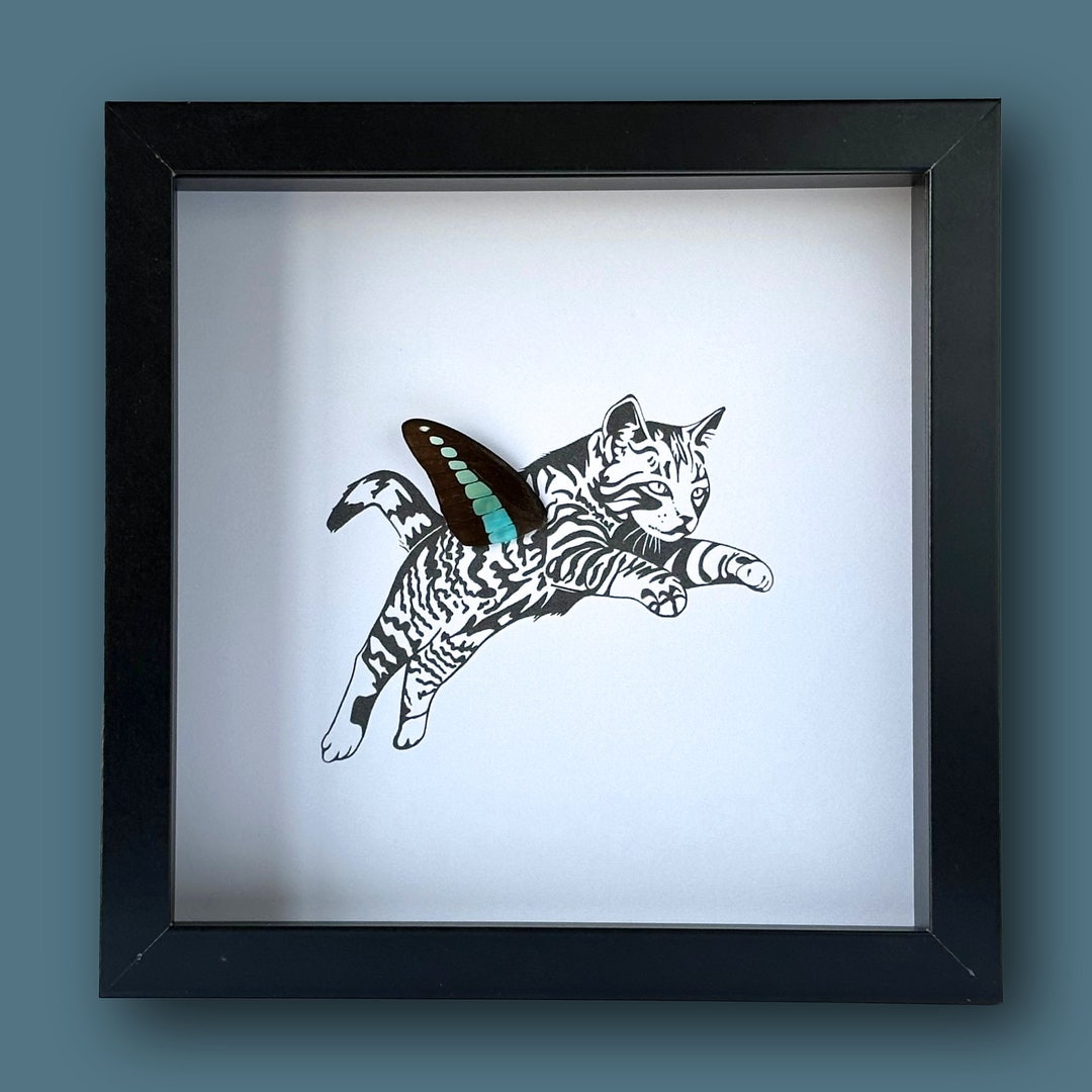 Tabby Cat Framed Art With Real Butterfly Wing - Etsy