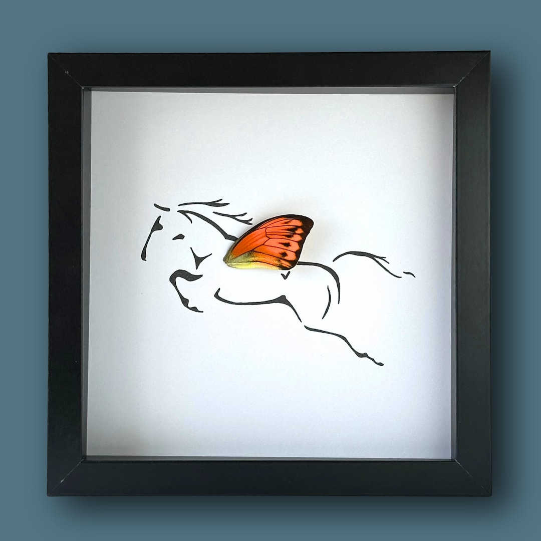 Pegasus Horse Framed Art With Real Butterfly Wing - Etsy