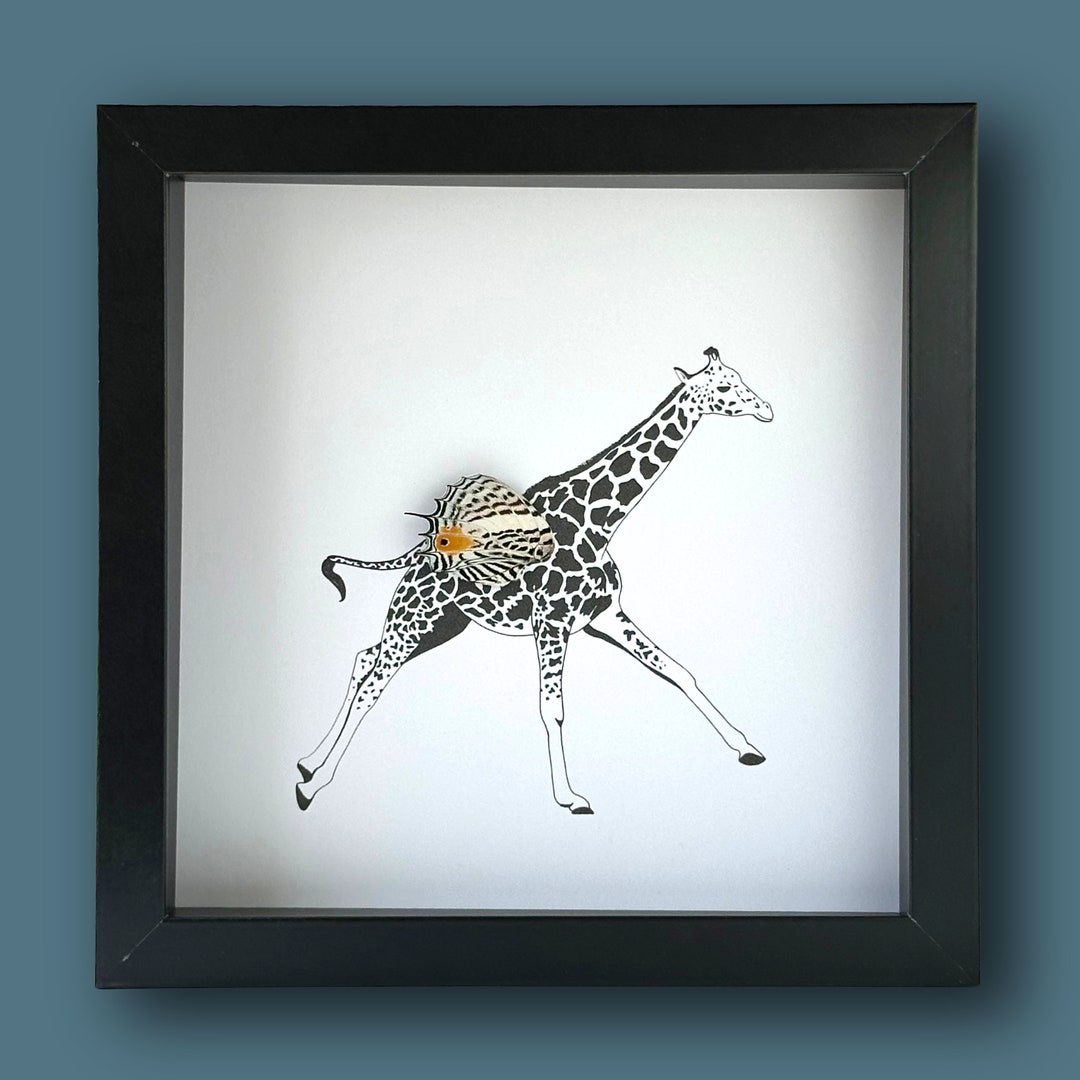 Flying Giraffe Framed Art With Real Butterfly Wing - Etsy