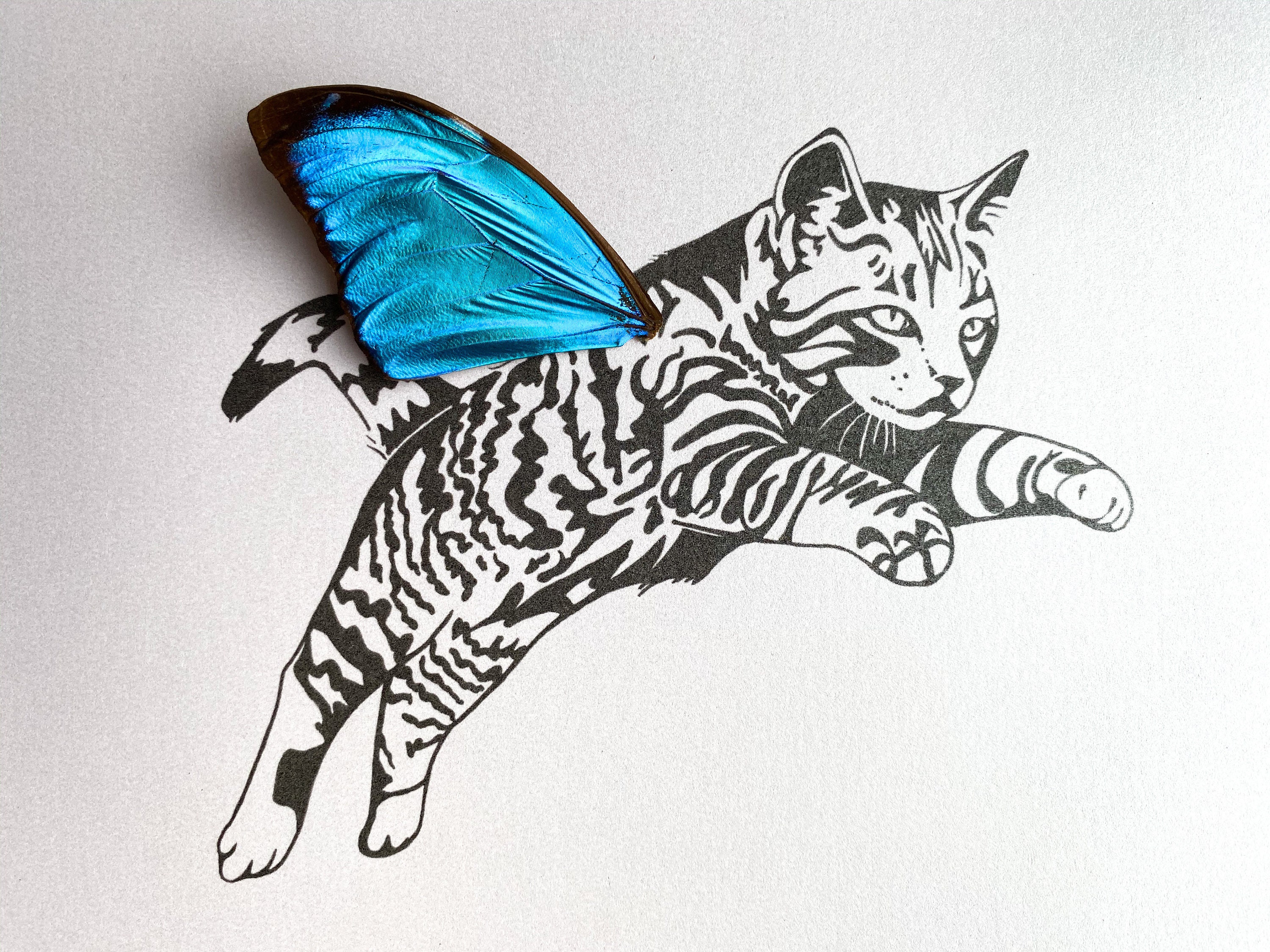 Cat With Wings Drawing