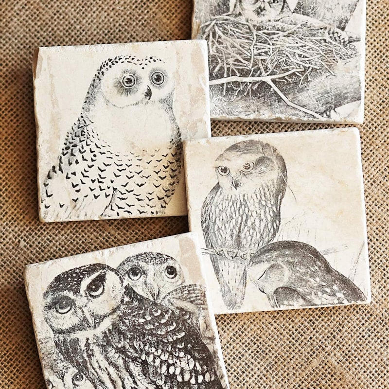 Owl Coasters - Etsy