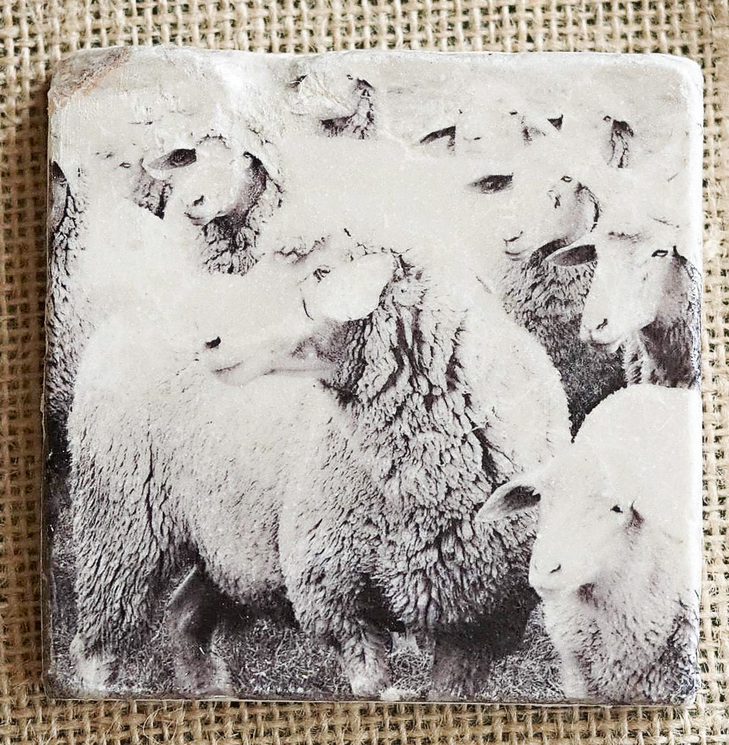 Sheep Decor- Coasters, Sheep Gift, Farm Decor, Farm Gift, Lamb Decor ...
