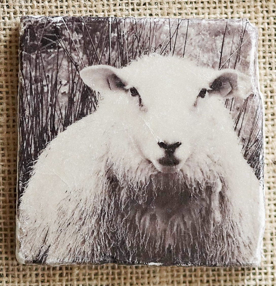 Sheep Decor Coasters Sheep Gift Farm Decor Farm Gift Lamb | Etsy