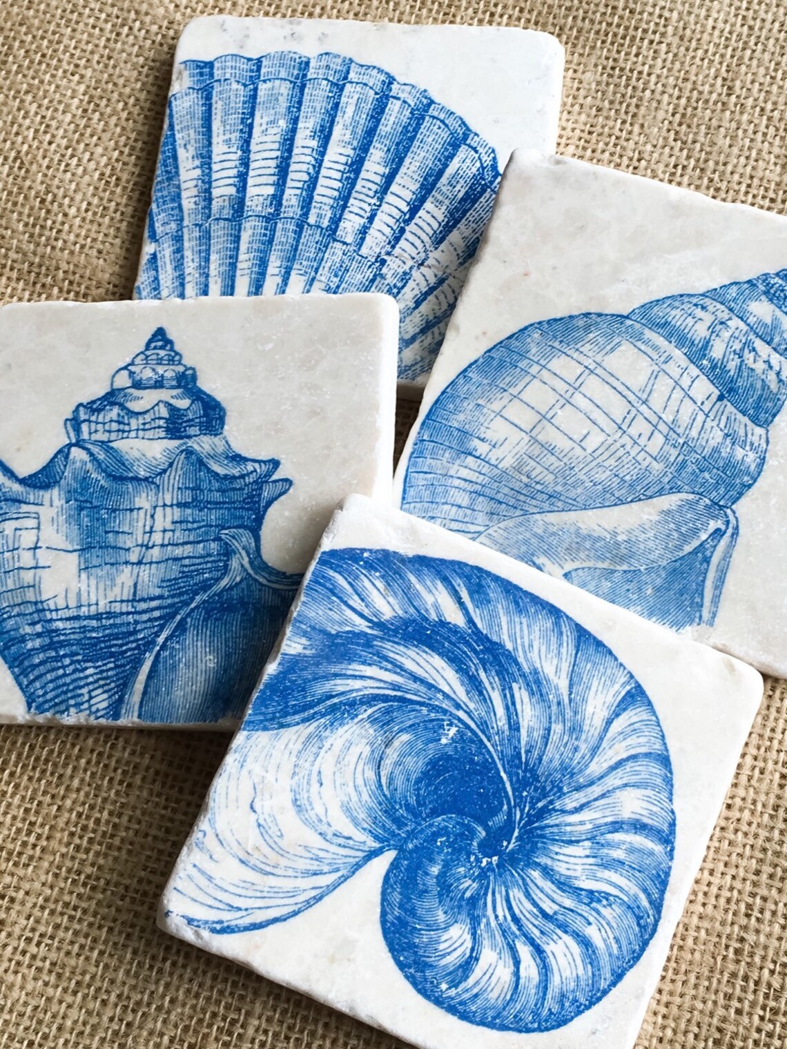 Shell Decor- Shabby Chic Beach, Beach Decor, Beach Gift, Shell Gift ...