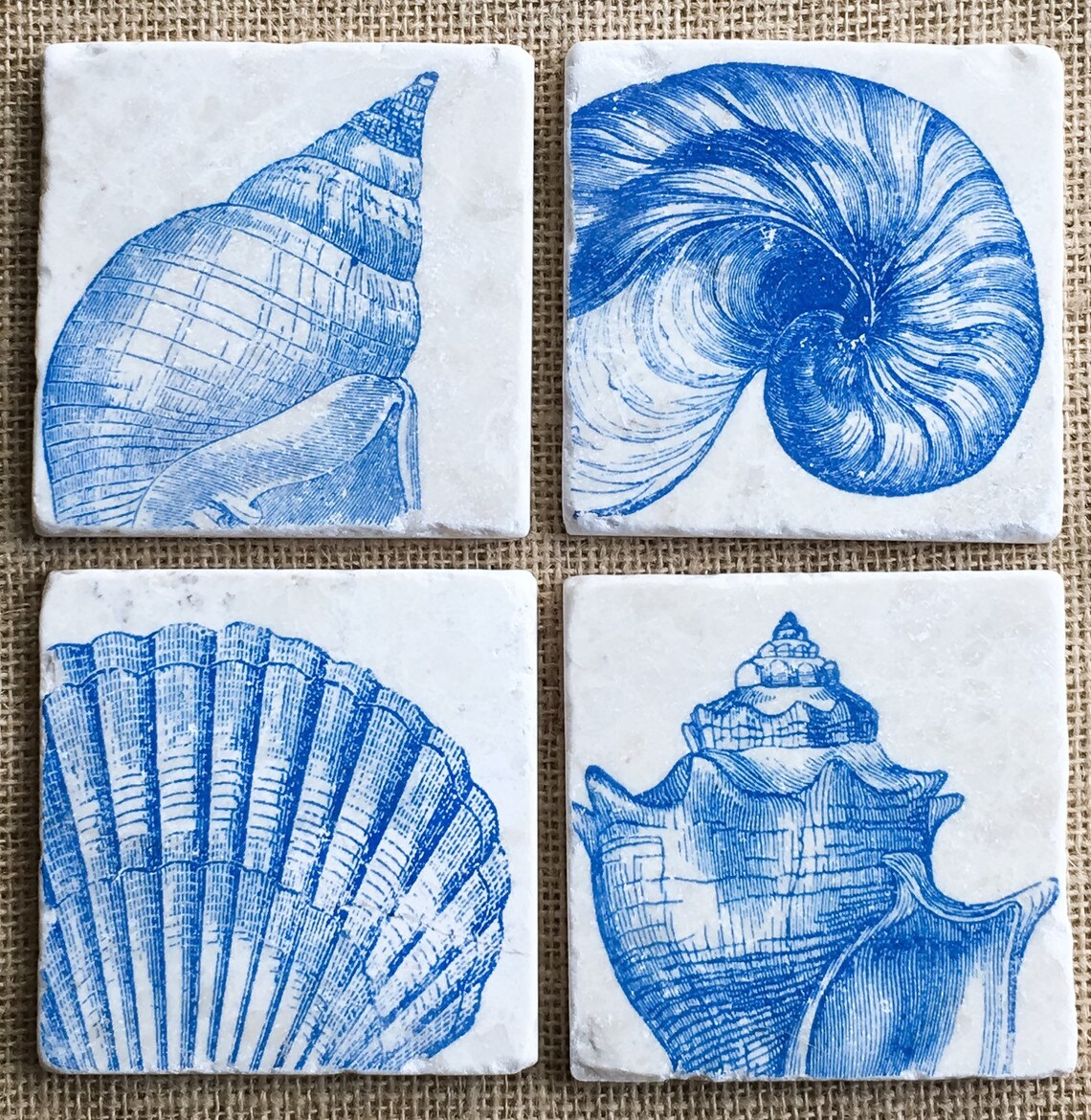 Shell Decor- Shabby Chic Beach, Beach Decor, Beach Gift, Shell Gift ...