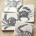 Beach Decor- Crab, Crab Decor, Beach House Decor, Crab Gift, Ocean Gift ...