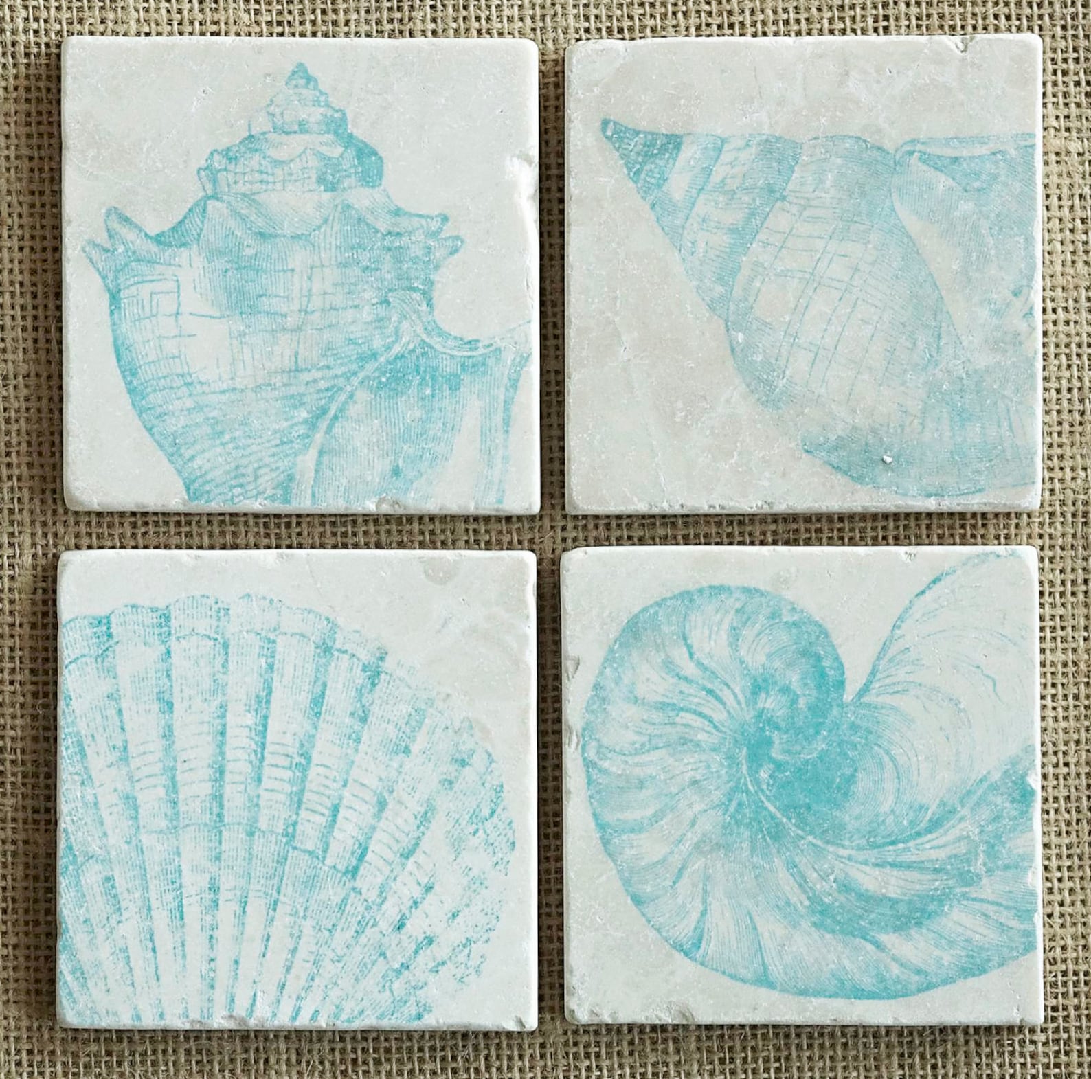 Shell Decor- Shabby Chic Beach, Beach Decor, Beach Gift, Shell Gift ...