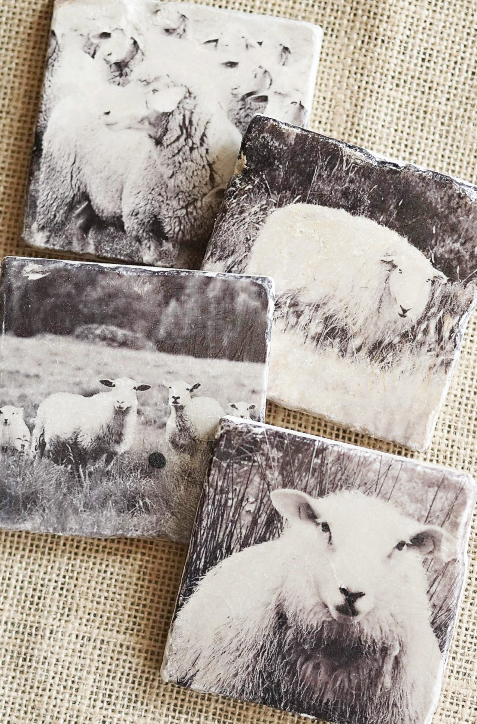 Sheep Decor- Coasters, Sheep Gift, Farm Decor, Farm Gift, Lamb Decor ...