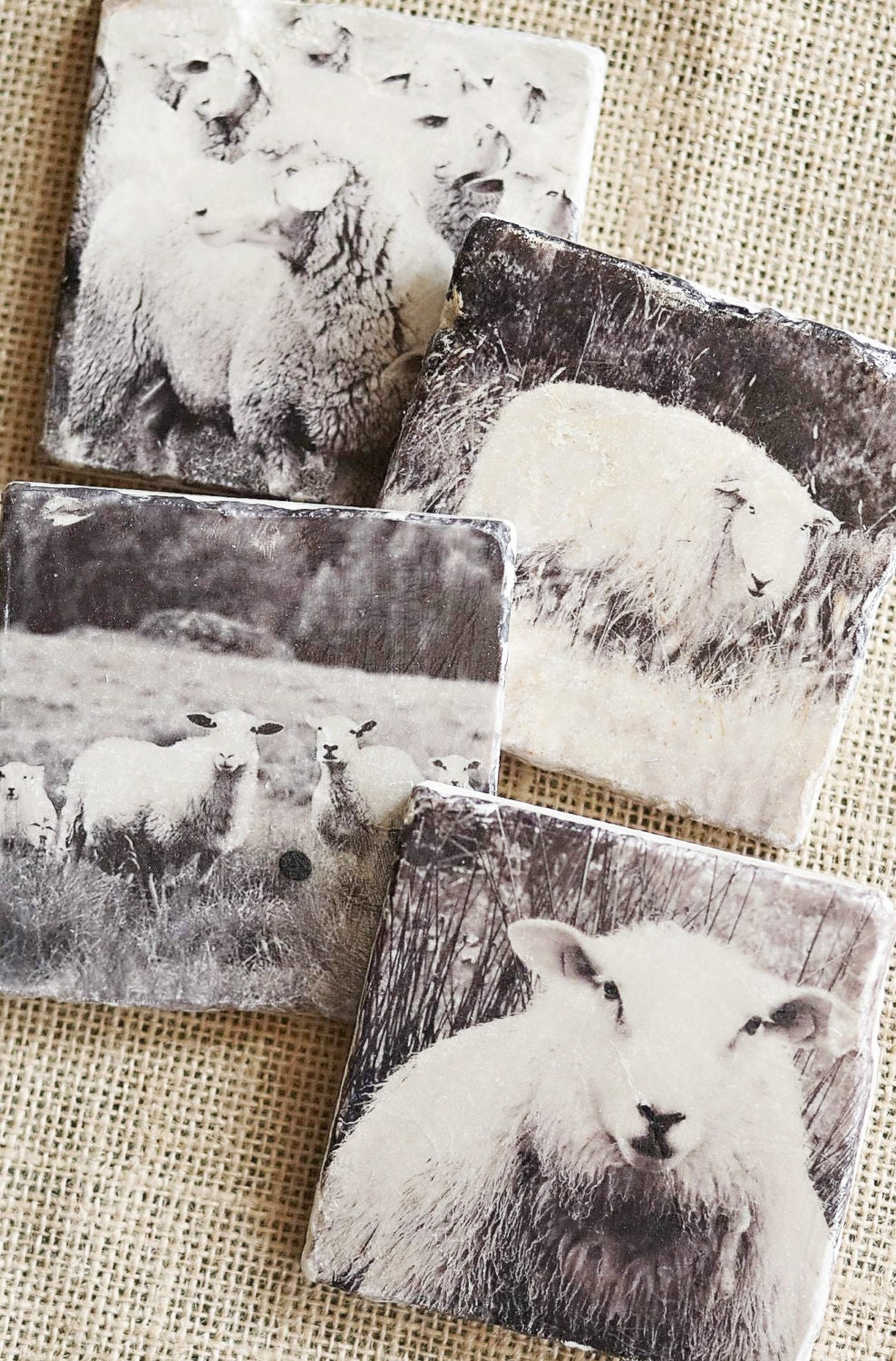 Sheep Decor Coasters Sheep Gift Farm Decor Farm Gift Lamb | Etsy