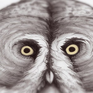 Art Print Owl Drawing Female Face Mask Feathers Portrait Design - Etsy