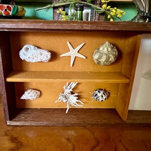 Assemblage Art/shells/vintage/handmade/wall Hanging/hand Painted ...