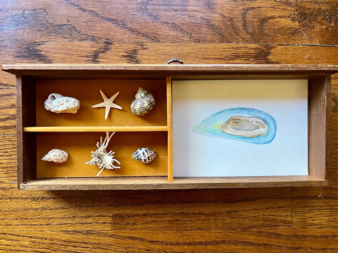 Assemblage Art/shells/vintage/handmade/wall Hanging/hand Painted ...