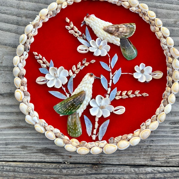 Cowrie Wall Art - Etsy