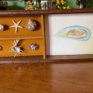 Assemblage Art/shells/vintage/handmade/wall Hanging/hand Painted ...