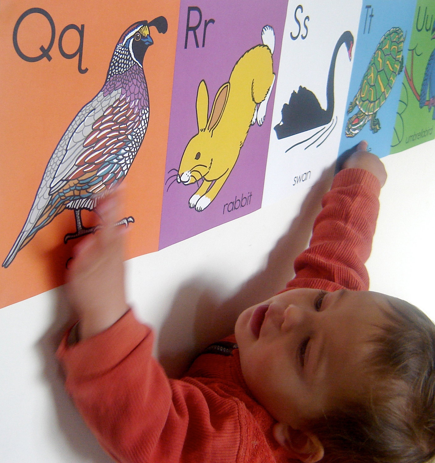 Animal ABC Wall Frieze, Fun and Colourful for Children's Bedroom, Learn ...