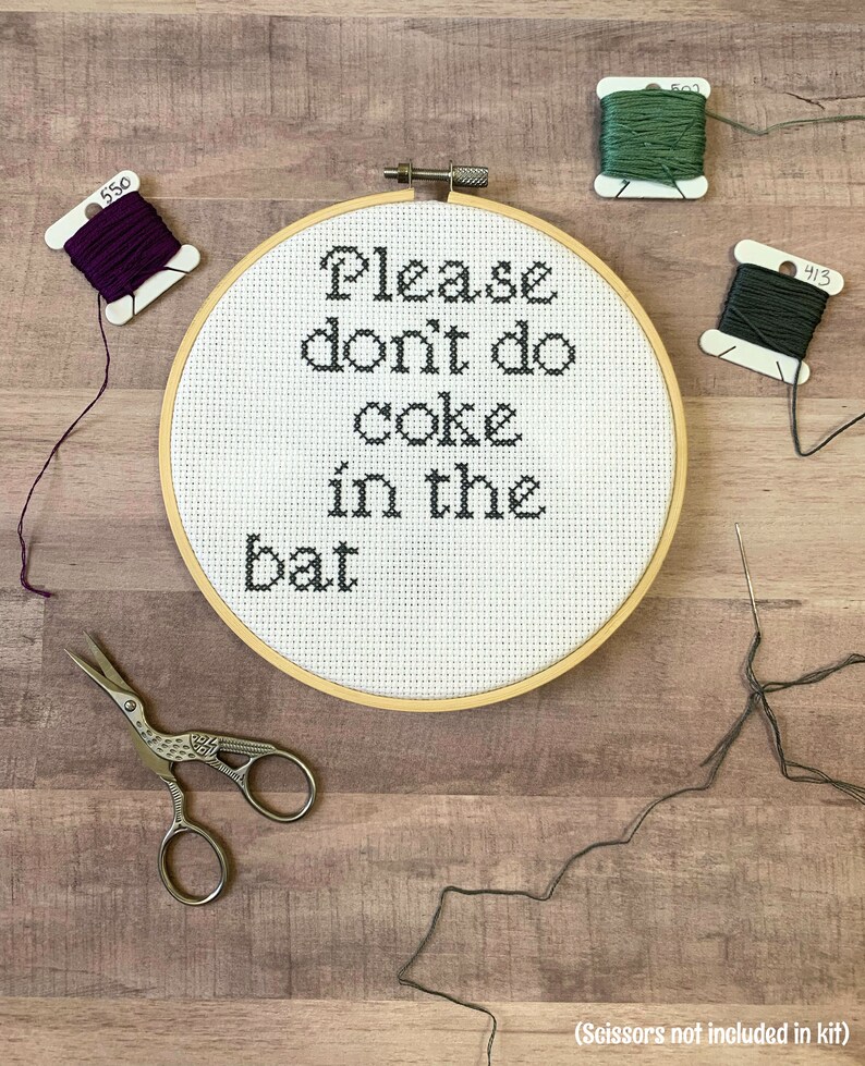Please Don't Do Coke In The Bathroom Cross Stitch Kit | Etsy