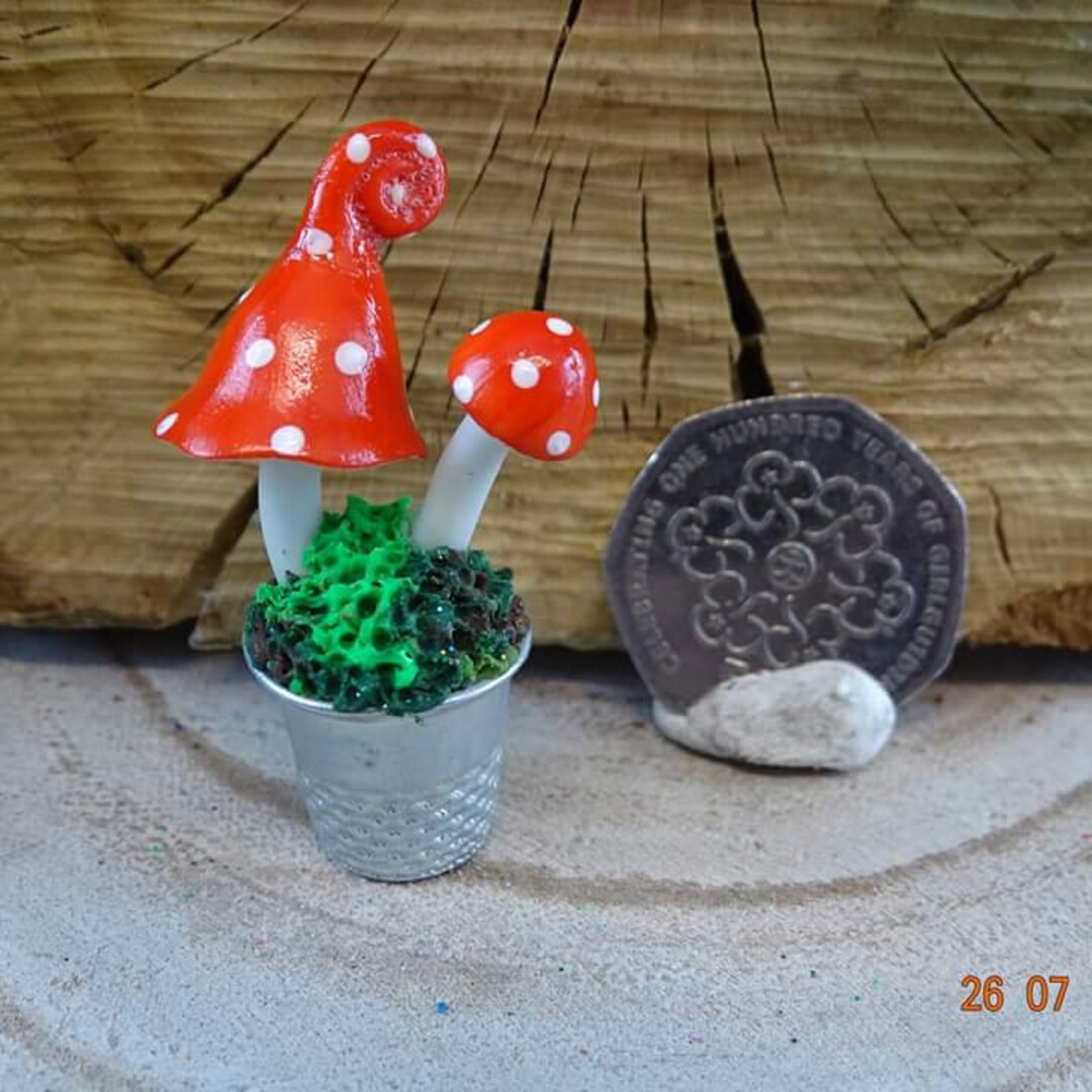 Tiny Thimble Toadstool Garden. Polymer Clay, Miniature Fairy Garden ...