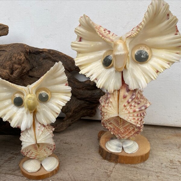 Seashell Owl - Etsy