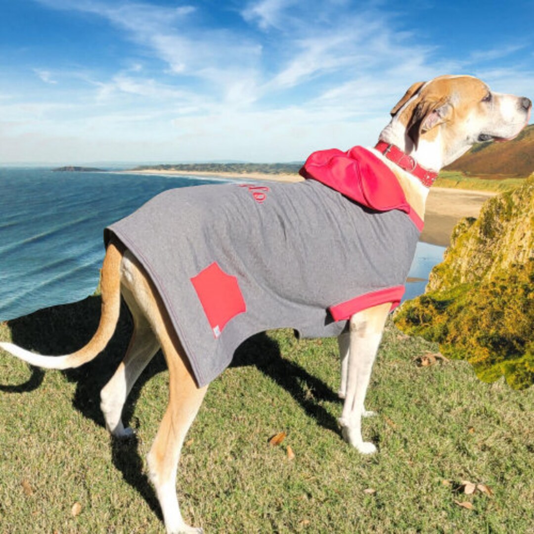 Giant Breed Great Dane Custom Dog Hoodies 3xlarge or 4xlarge in ...