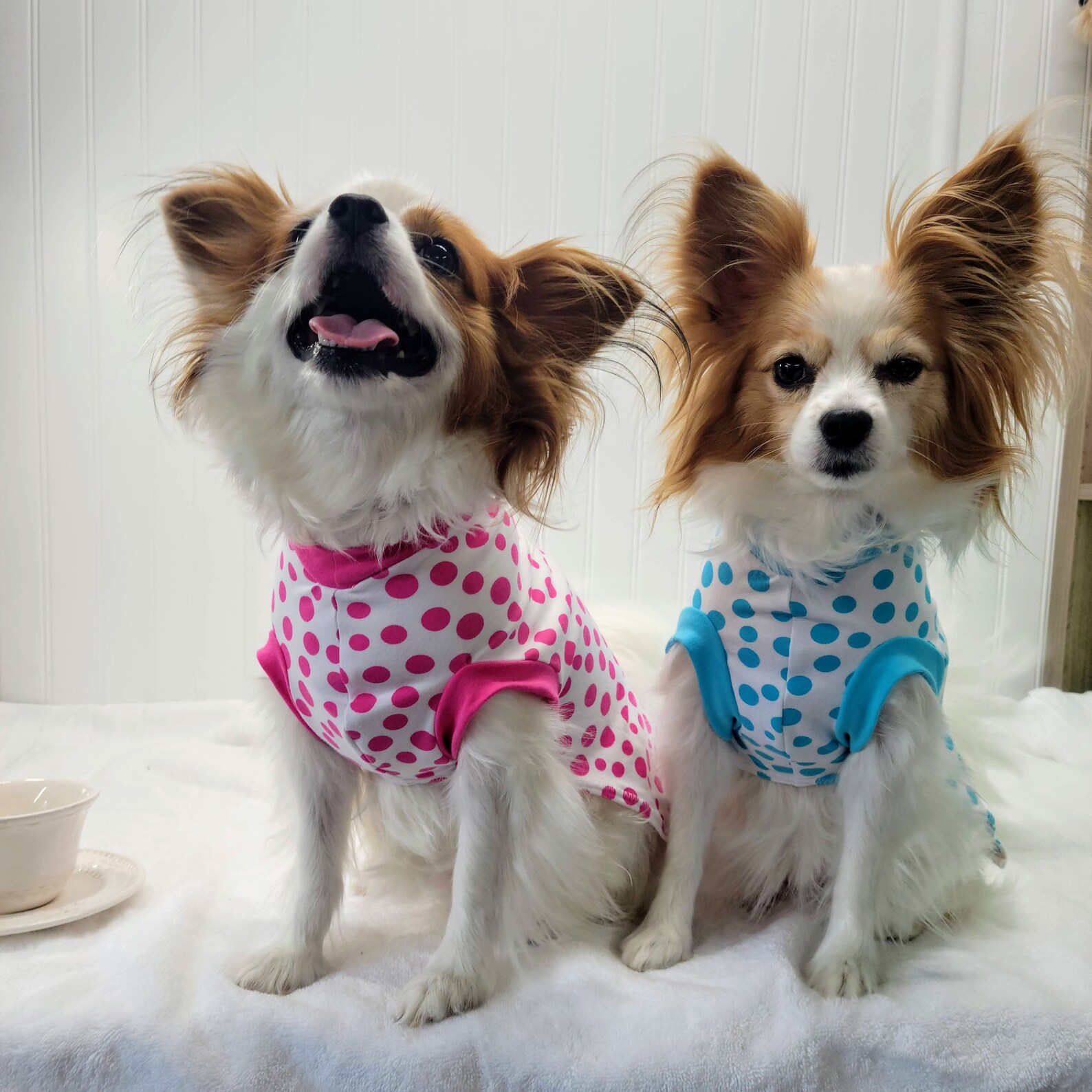 Pink Polka Dot Dog Shirts Cotton Blend Knit Custom Sizes From - Etsy