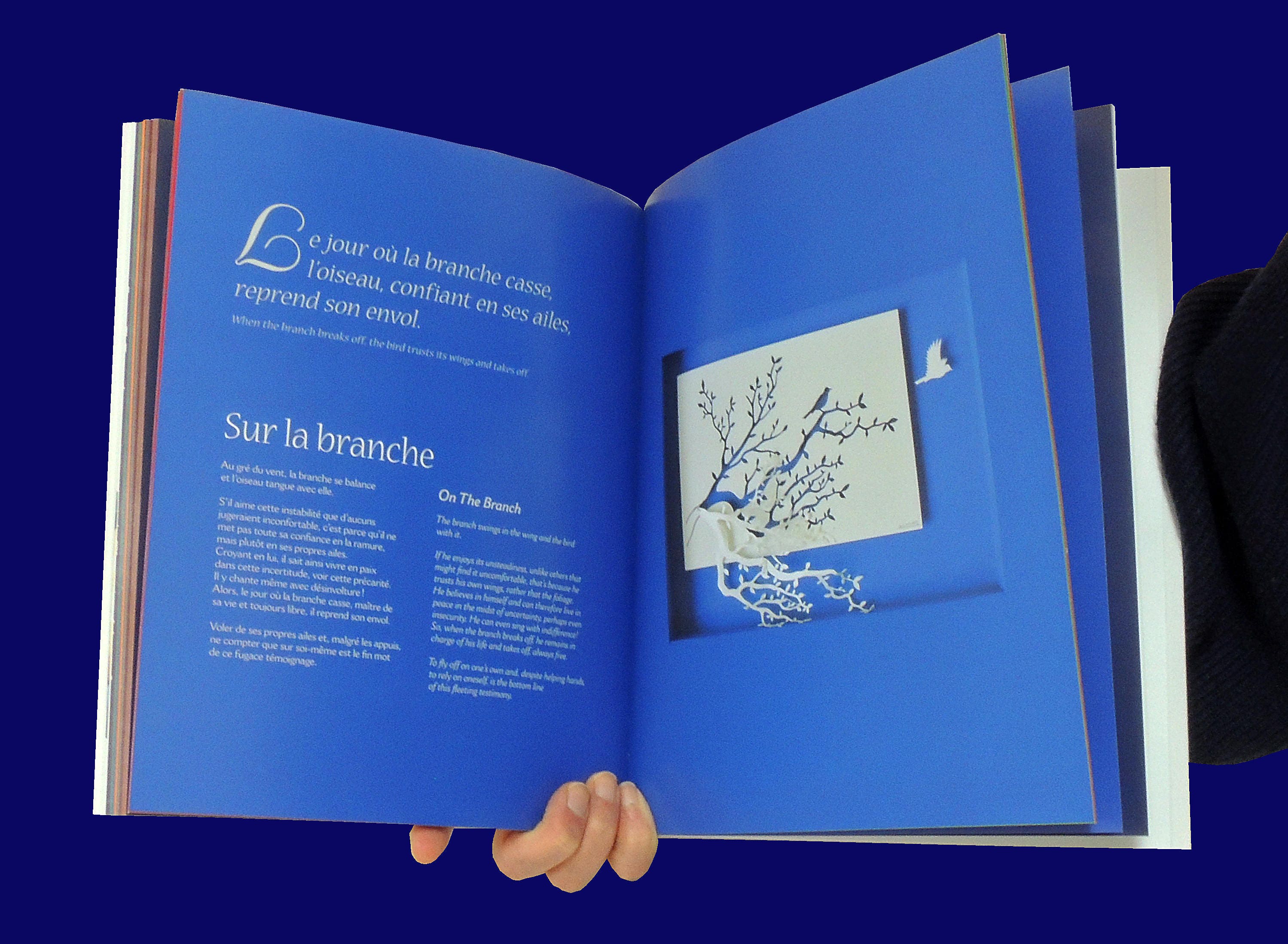 English French BOOK PAPER ART Daniel Mar Sculpteur D'histoires Story ...