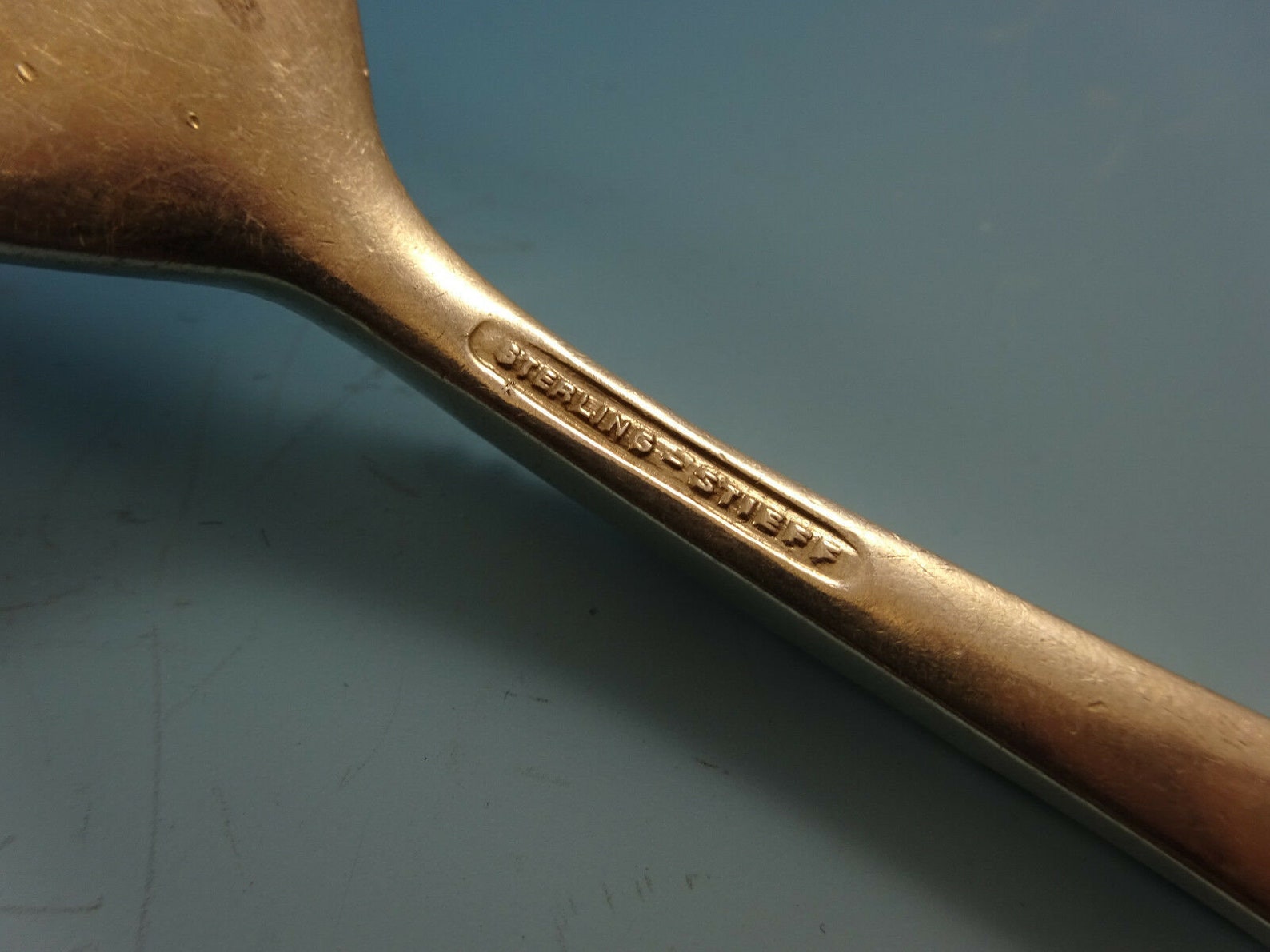 Forget Me Not by Stieff Sterling Silver Flatware Service for 8 Set 61 ...