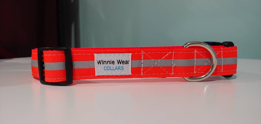 REFLECTIVE Bright Orange Dog Collar - Etsy