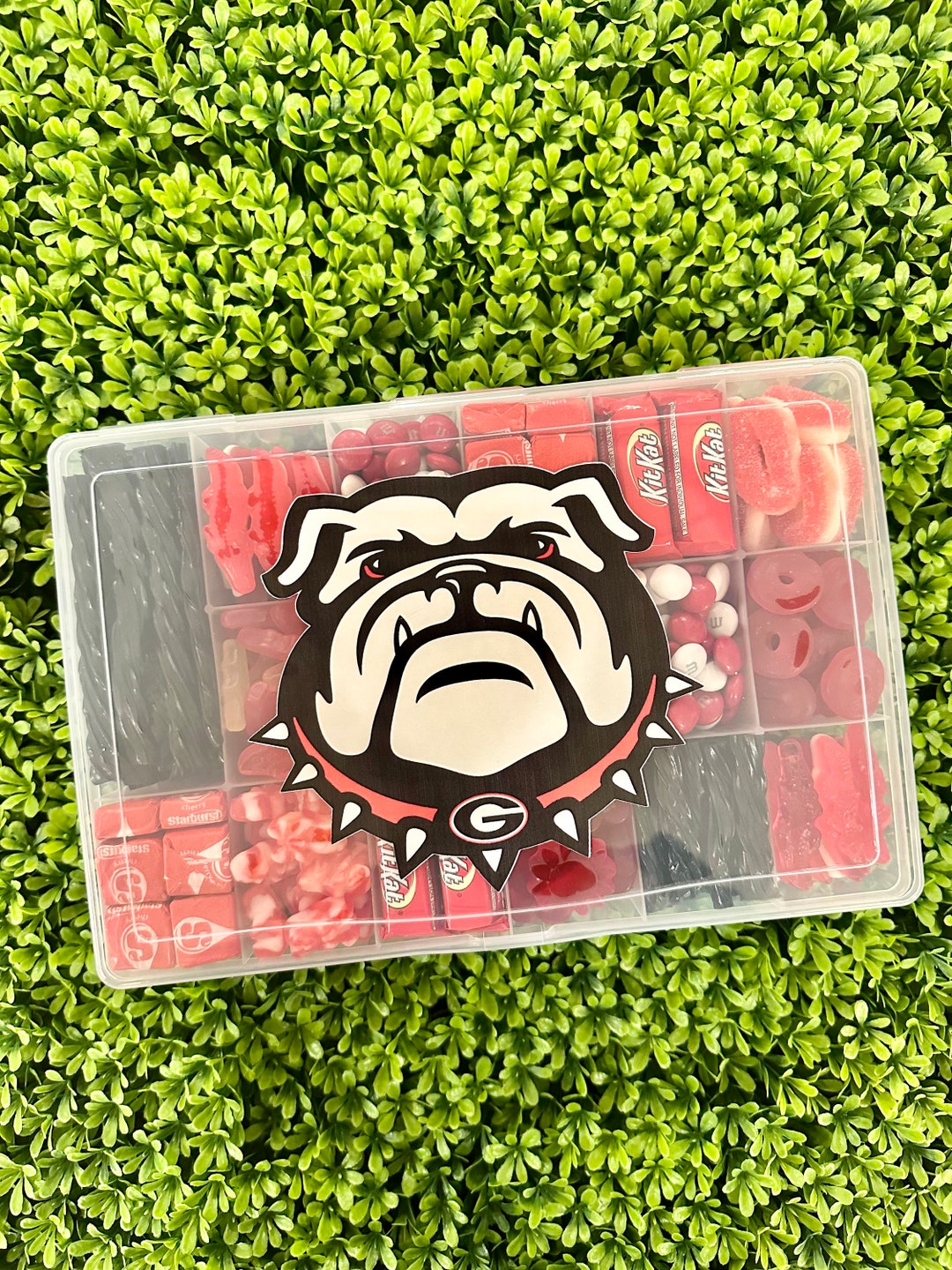 Georgia Bulldog XL Candy Gram - College Commit Gift, Birthday Gift ...