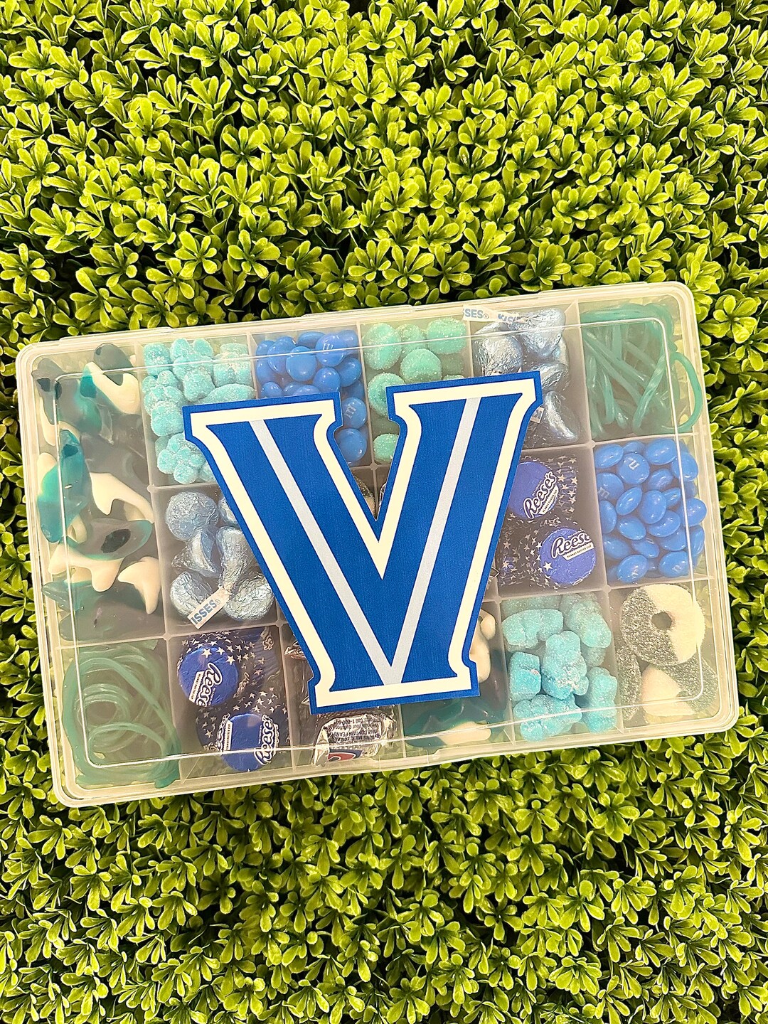 Villanova XL Candy Gram - College Commit Gift, Birthday Gift, Finals ...
