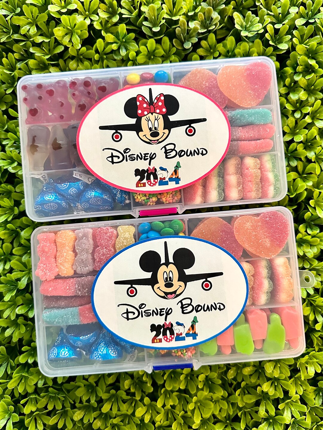 Mini Candy Gram Disney Bound Perfect Gift for Any Disney Lover in ...
