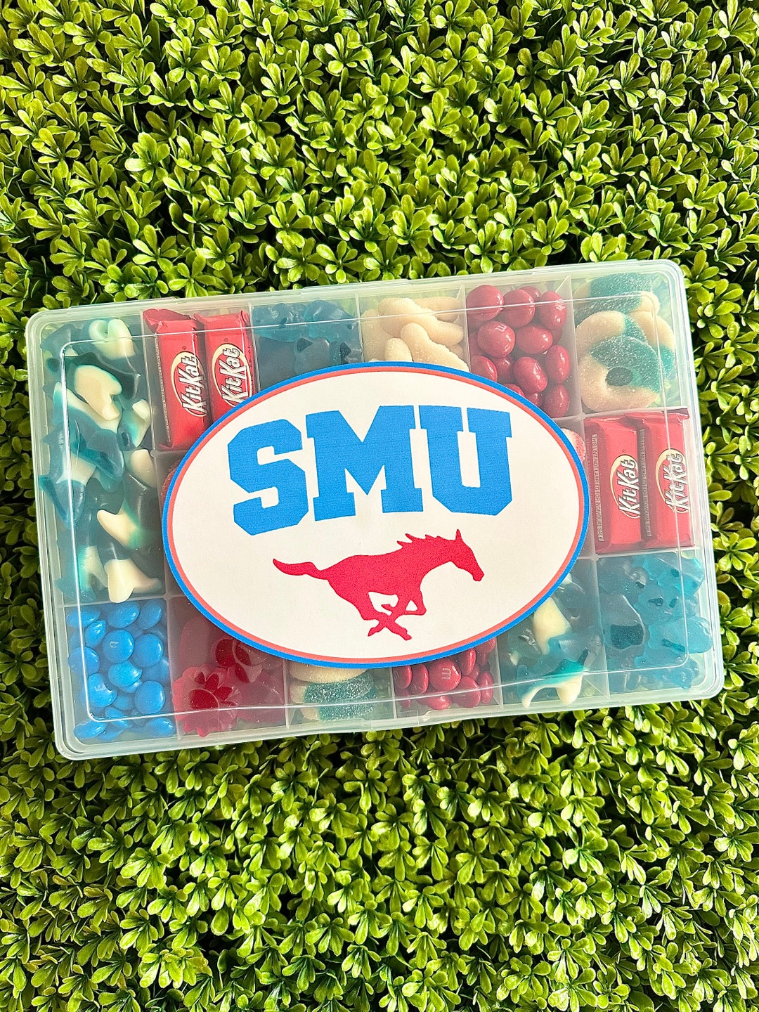 SMU Southern Methodist XL Candy Gram - College Commit Gift, Birthday ...