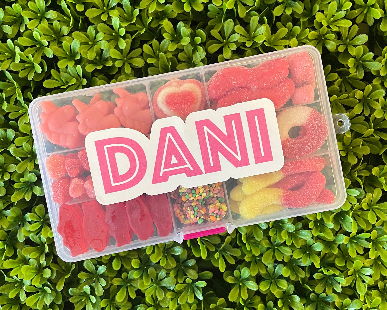 Mini Candy Gram Birthday Gift Party Favor Christmas Gift - Etsy