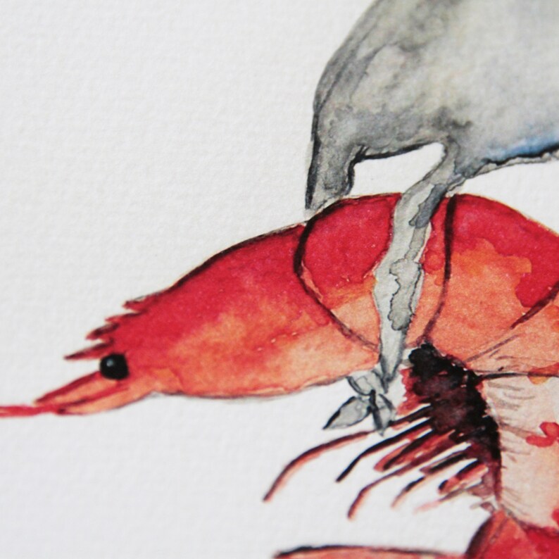 Illustration Shrimp, A4 Print, Decor, Printed Watercolors, Original ...