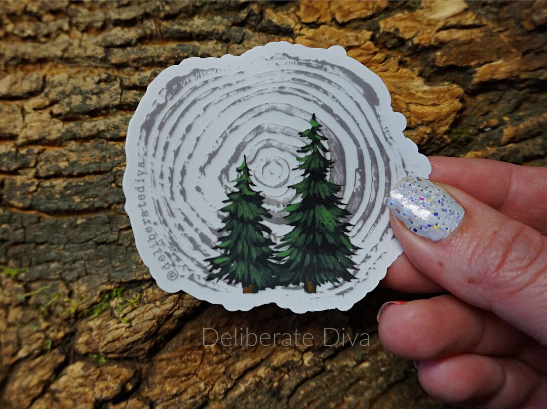 Pine Tree Growth Rings Sticker: Original Artwork, Clear Vinyl - Etsy