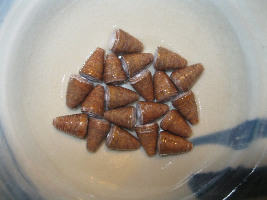 Wooden Cones Handmade Rolled Paper Mini Beads 1/2 Inch: Set of 20 - Etsy