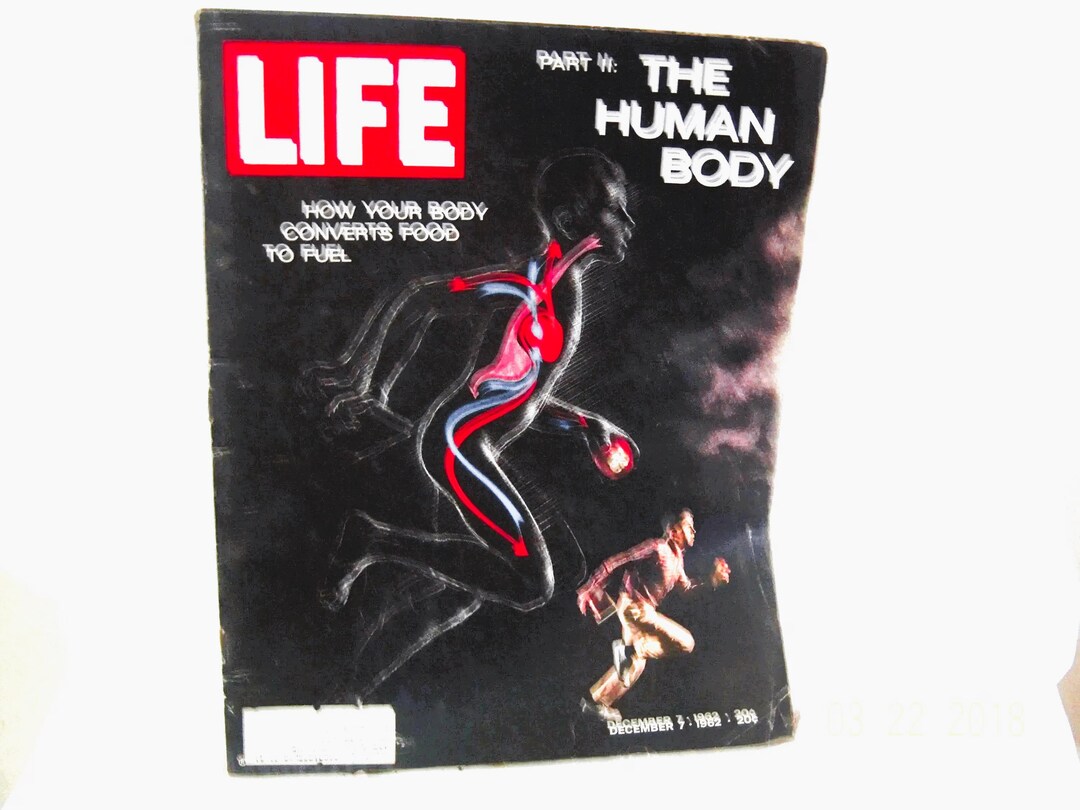 December 7, 1962 Life Magazine the Human Body Anatomy Cuba Military - Etsy
