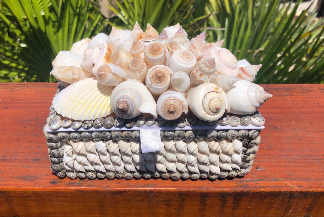 Seashell Box - Etsy