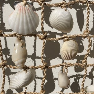 Rope & Sea Shell Wall Hanging - Etsy